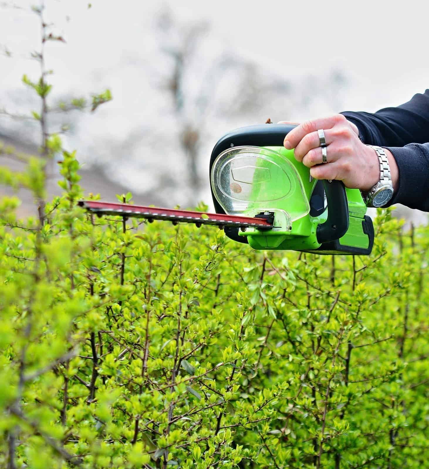 What is the Best Battery Powered Hedge Trimmer - The All Electric Lawn