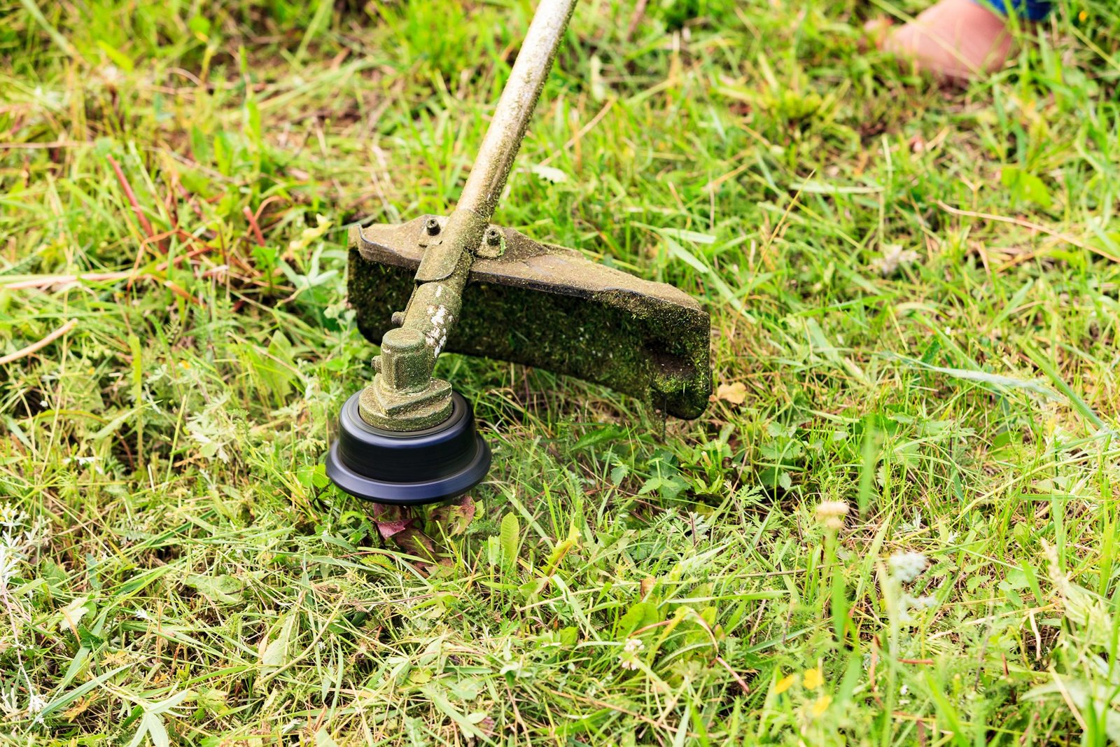 Gas vs Battery String Trimmer: Which is the best type of string trimmer ...