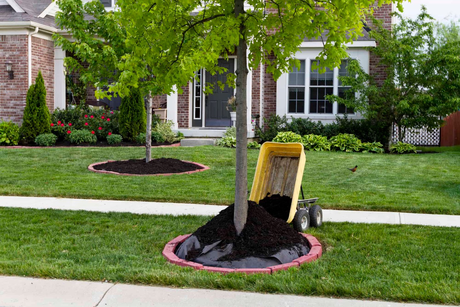 Battery Powered Garden Cart: Saving Backs Everywhere - The All Electric ...